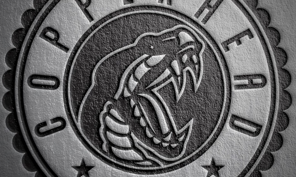 Copperhead hit all the right notes with ‘Moonshine’ – Camdenmonthly